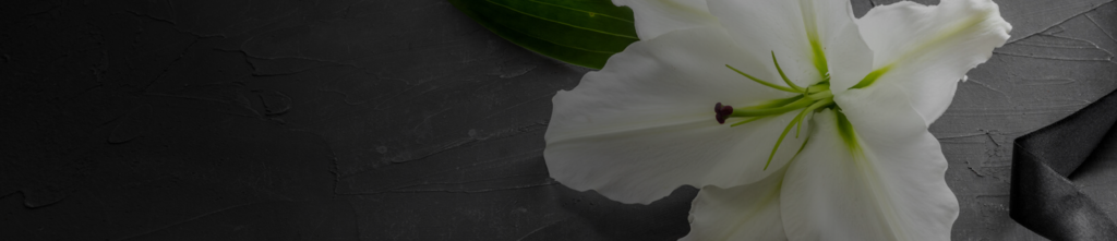 Contact - RIP Ireland